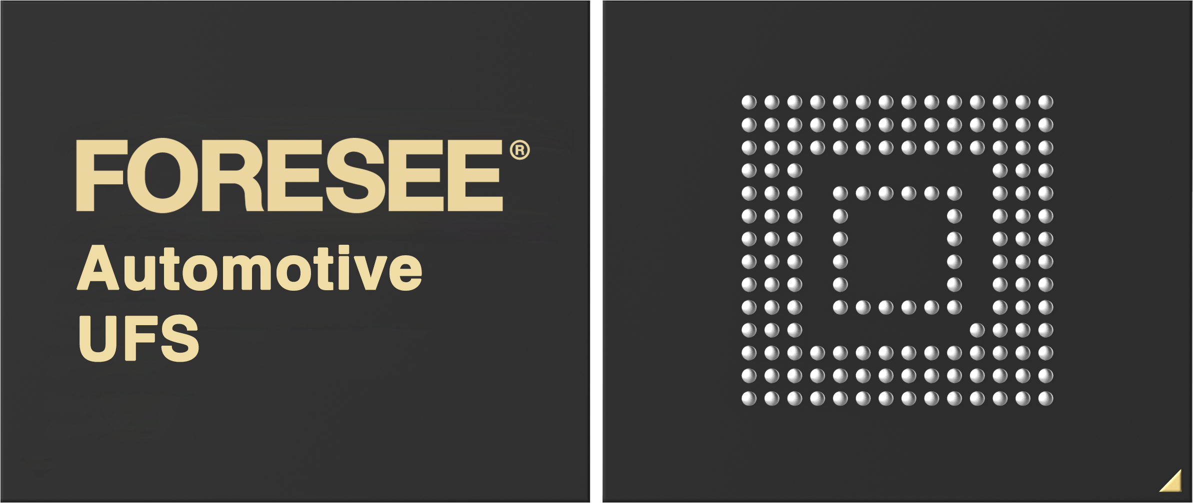 FORESEE: Industrial Storage & Memory Solutions | Longsys