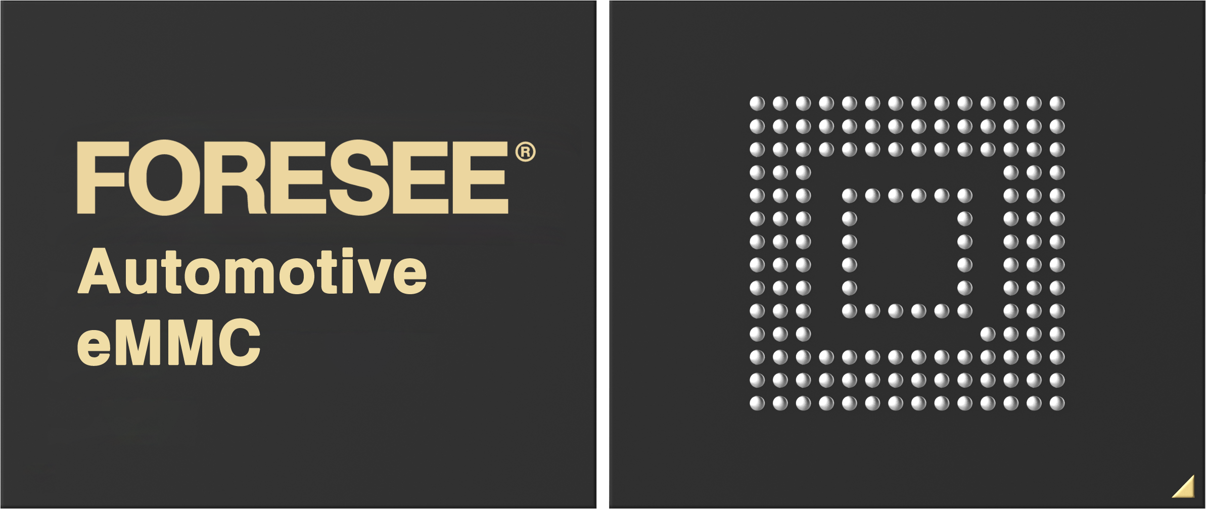 FORESEE: Industrial Storage & Memory Solutions | Longsys